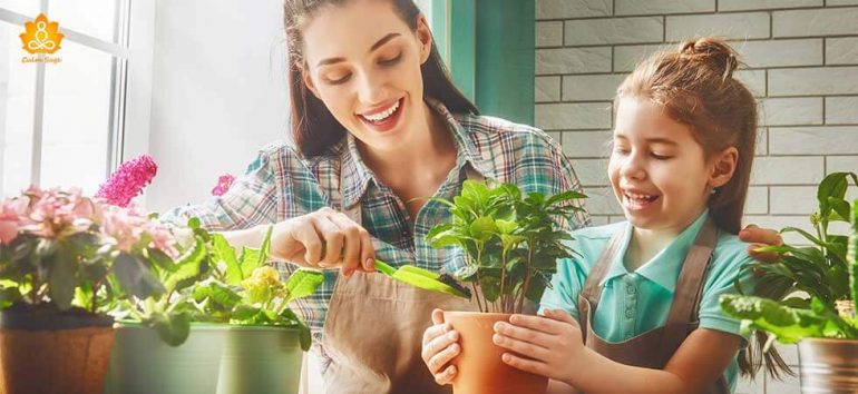 15 Positive Energy Plants That Will Boost Your Mental Health In 2025