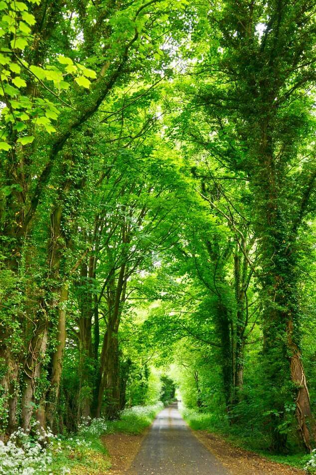 The Best Calming Images Of All Time You Can t Miss Looking At