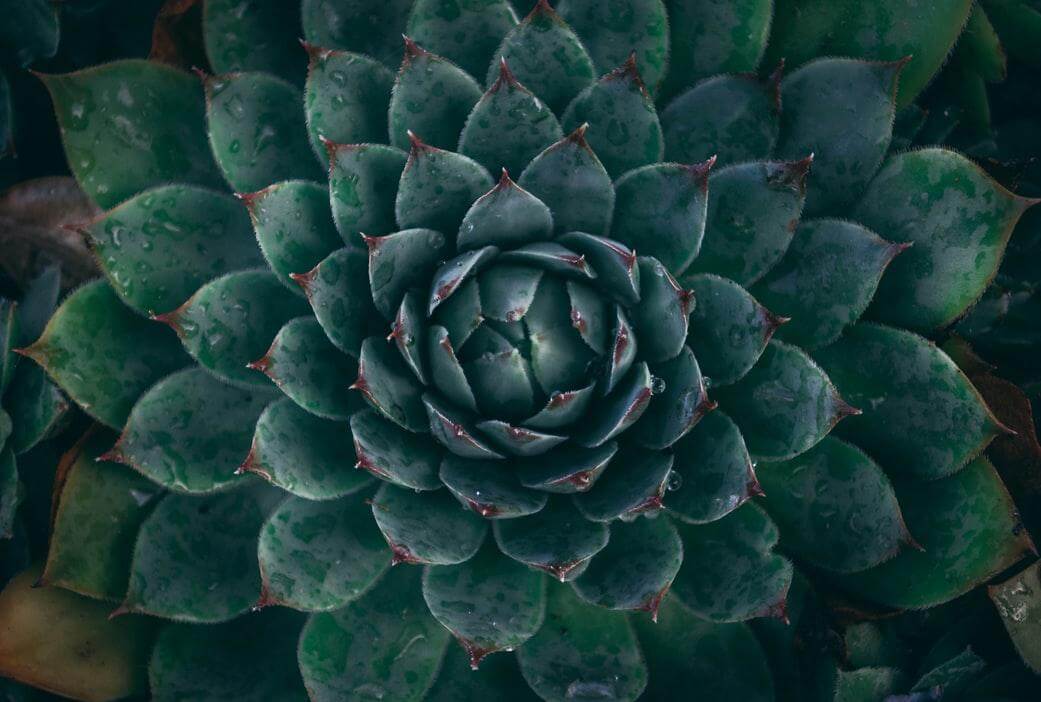 The Best Calming Images Of All Time You Can't Miss Looking At