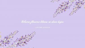 25+ Calm Desktop Backgrounds For You Should Not Miss On