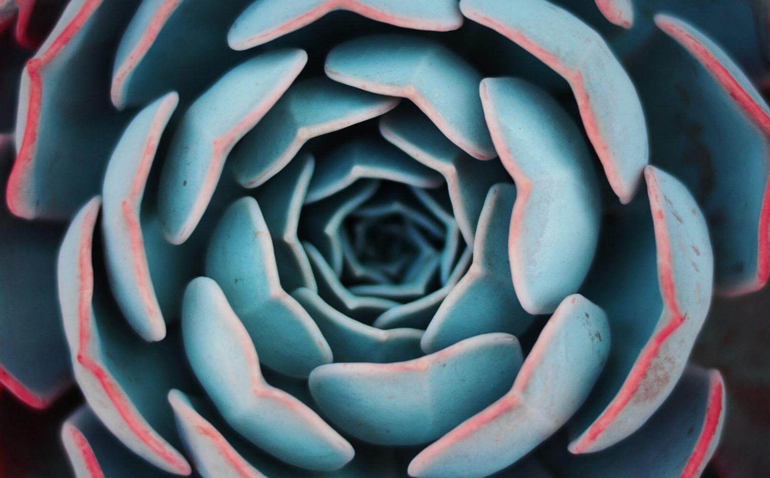 25+ Calm Desktop Backgrounds For You Should Not Miss On