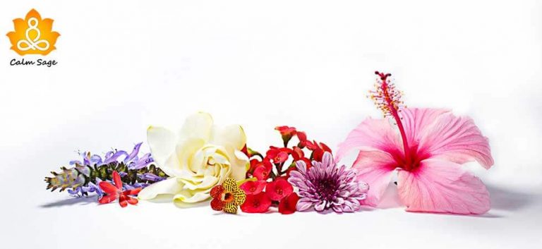 Pick your Favorite Flower and Know your Personality