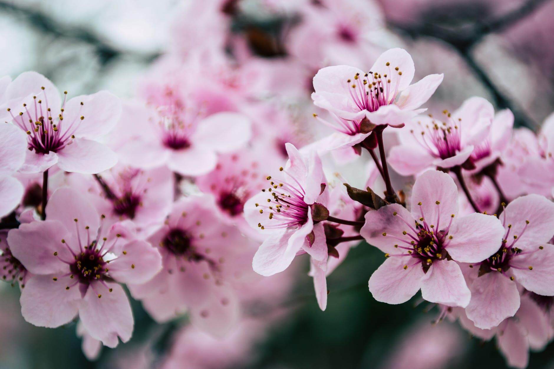 25+ Calm Desktop Backgrounds For You Should Not Miss On