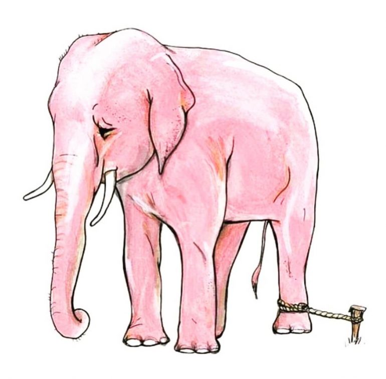 What Is Learned Helplessness, and How Do You 'Unlearn' It?