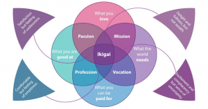 What is Ikigai? How To Find Your Ikigai?