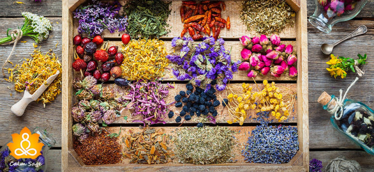 A Guide to Medicinal Plants And Their Benefits