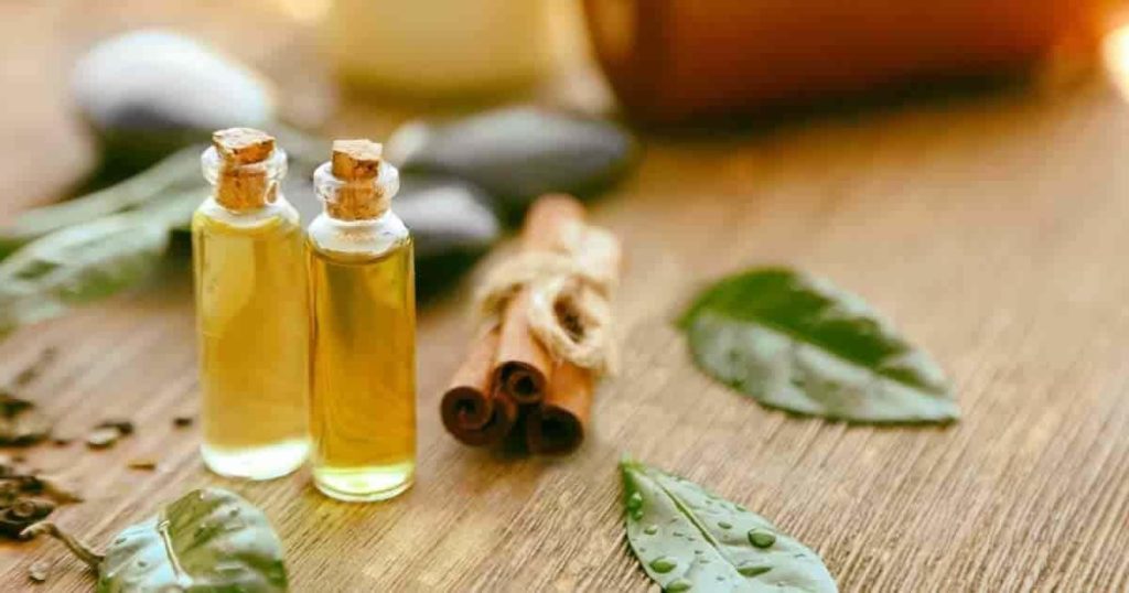 A Guide to Medicinal Plants And Their Benefits