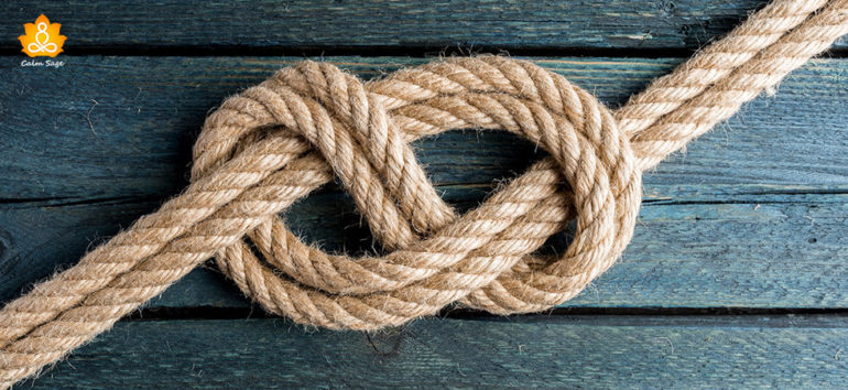 Double Loop Learning: Value Underlying Feelings