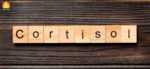 What is Cortisol : High Cortisol Symptoms and How to Regulate?