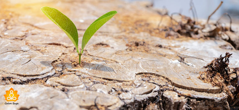 Things To Remember When You Hit Rock Bottom In Your Life