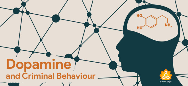 Dopamine And Criminal Behaviour: Exploring The Link Between The Two