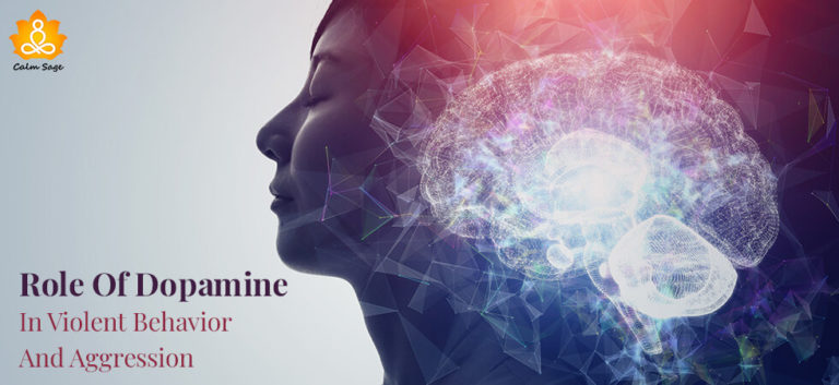 The Role Of Dopamine In Violent Behavior And Aggression
