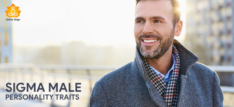 The Lone Wolf : 11 Sigma Male Personality Traits You Need To Know