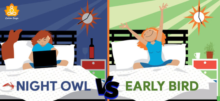 Night Owls V/S Early Birds: Who Is Better?