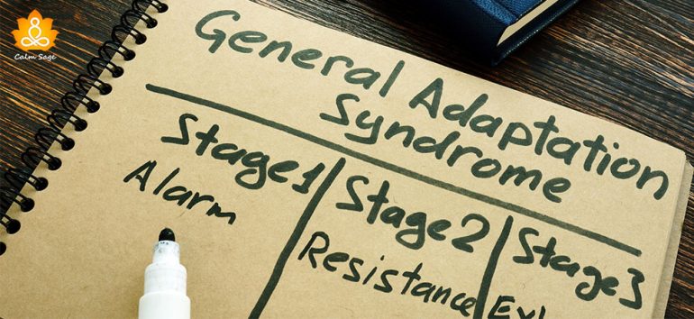What is General Adaptation Syndrome: Stages & Examples