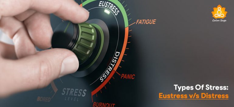 Types Of Stress: Eustress v/s Distress