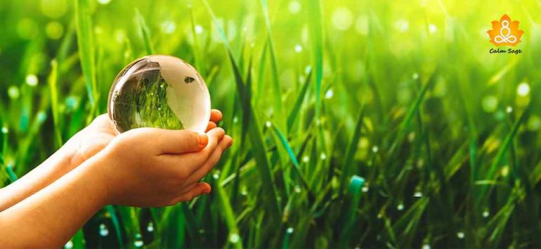 Milieu Therapy: Recover In A Safe And Structured Surrounding