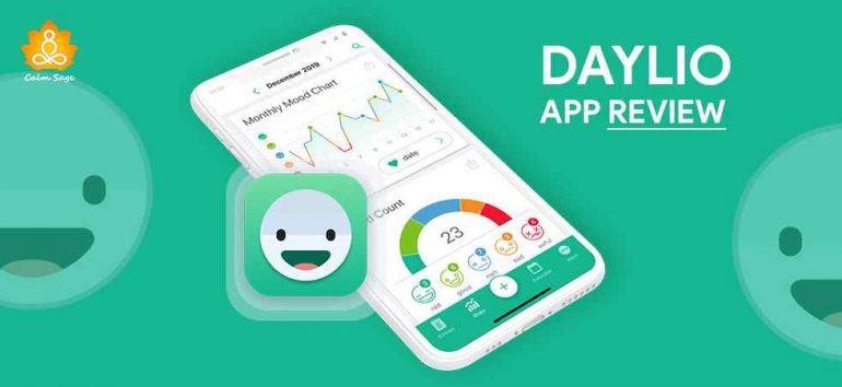 Daylio At A Glance (Daylio App Review)