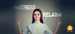 How To Complete The Stress Response Cycle and Be More Relaxed
