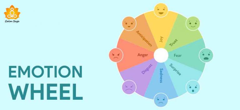 The Emotion Wheel: Primary Emotions, Benefits & How To Use It!