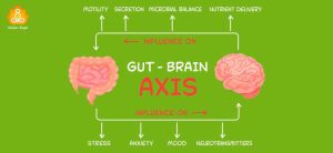 Gut-Brain Axis & Mental Health: What’s The Connection?