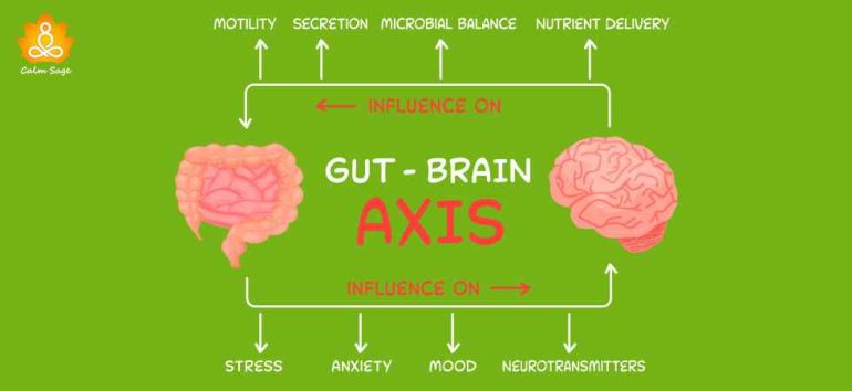 Gut-Brain Axis & Mental Health: What’s The Connection?