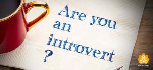 What Are the Different Types of Introverts?