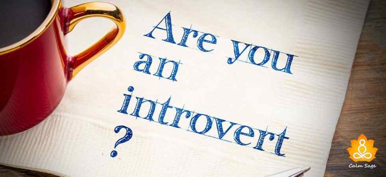 What Are the Different Types of Introverts?