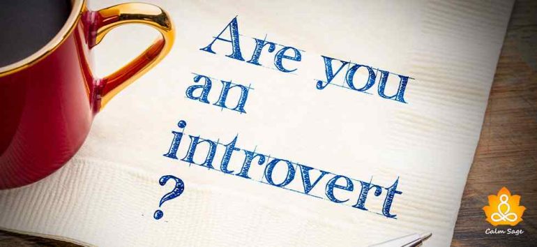 What Are the Different Types of Introverts?