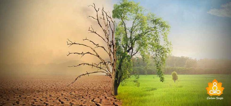 Scarcity Mindset: Causes and How To Overcome It