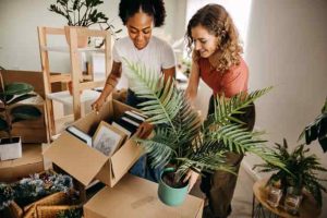 What Is Relocation Stress Syndrome? How To Cope…