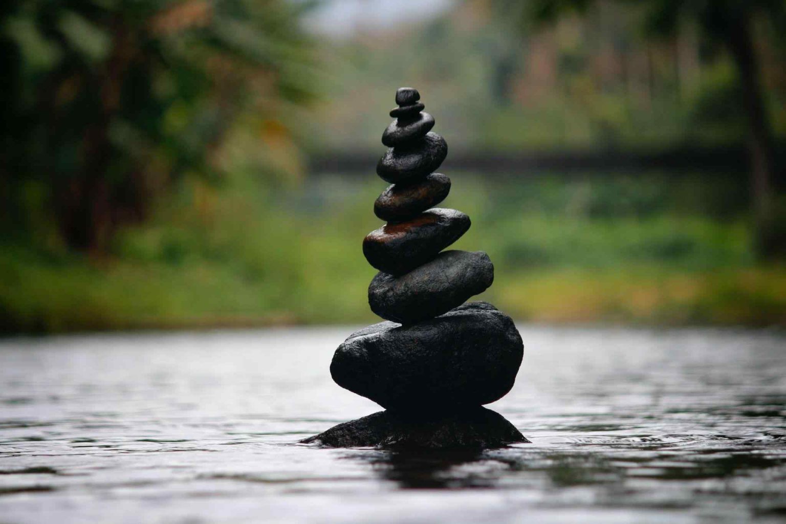 Yin And Yang Balance And Its Importance in Mental Well-Being