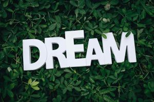 The Amazing Benefits of Dream Therapy You Ought to Know!