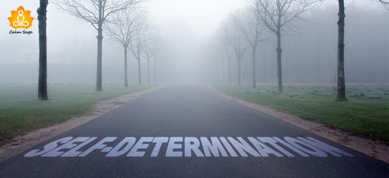 How Self-Determination Theory Influences Motivation?