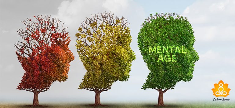 Mental health and Lifestyle Quizzes : Calmsage