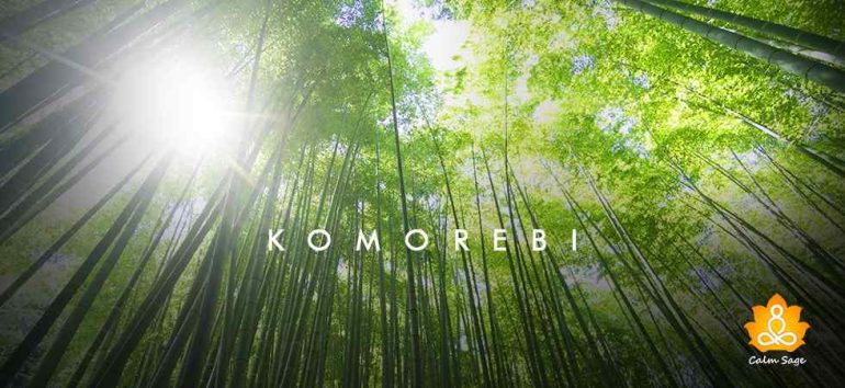 What Is Komorebi And How It Affects Mental Health