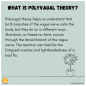 What is the Polyvagal Theory? Origin and Polyvagal Exercises