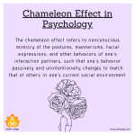 Exploring the Chameleon Effect and The Psychology of Mimicry