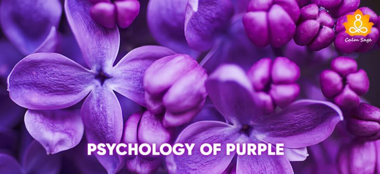 Psychology Of Purple: Chronicles Of Purple Beyond “I Purple You”