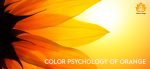 Psychology of Orange Color: Taking A Look At Positive And Negative Sides
