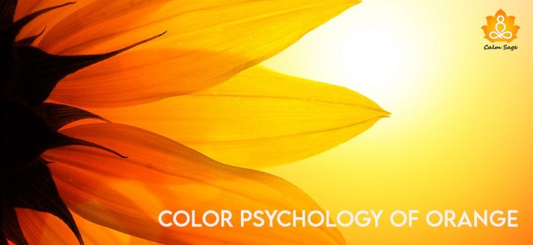 Psychology of Orange Color: Taking A Look At Positive And Negative Sides