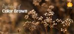 Psychology Of Brown Color: Provoking Sense Of Reliability And Strength