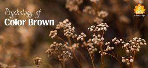 Psychology Of Brown Color: Provoking Sense Of Reliability And Strength