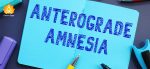 Mini-Guide: What Is Anterograde Amnesia?