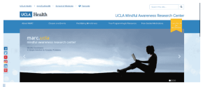 Top 10 Meditation Classes Online (Free and Paid Both)